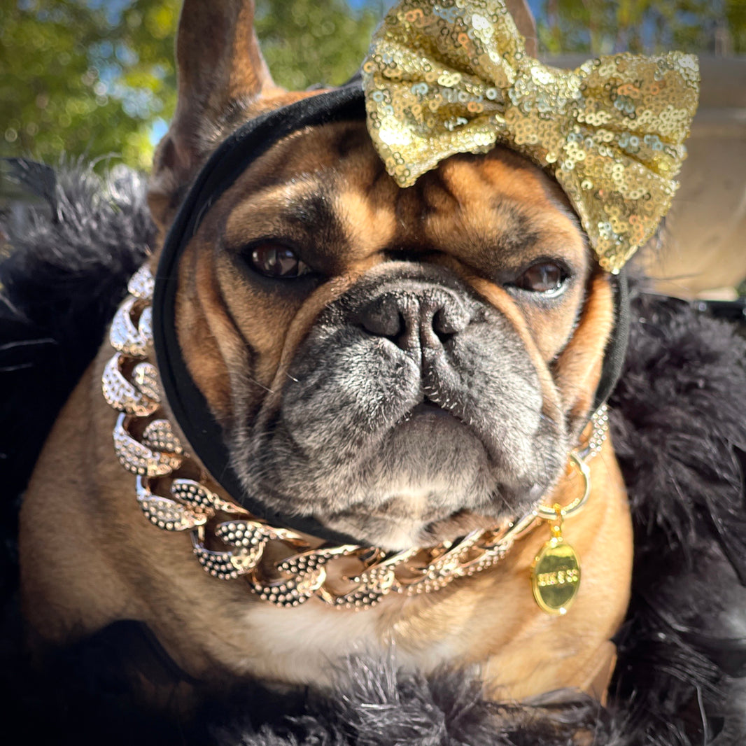 Bek & Co | French Bulldog Harnesses, Leashes, Chains, & Accessories