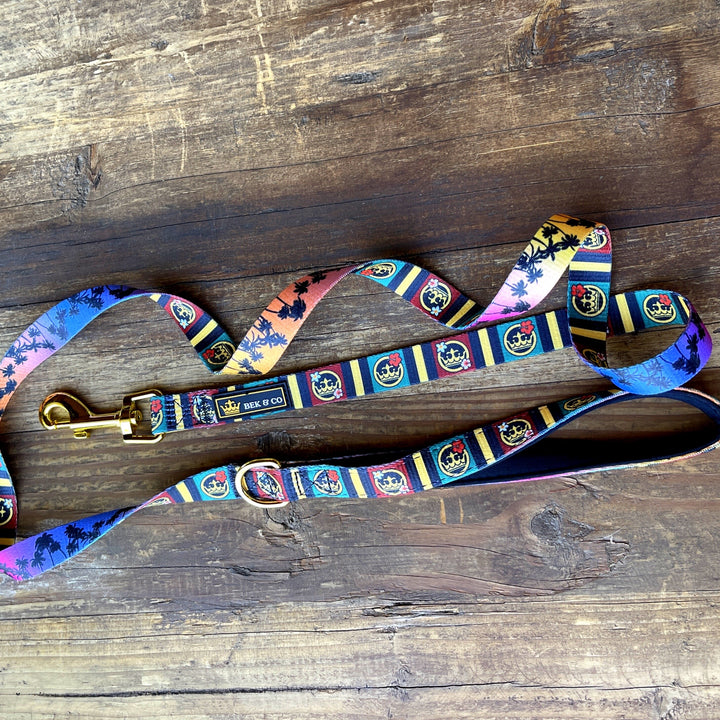 Bek & Co | French Bulldog Harnesses, Leashes, Chains, & Accessories